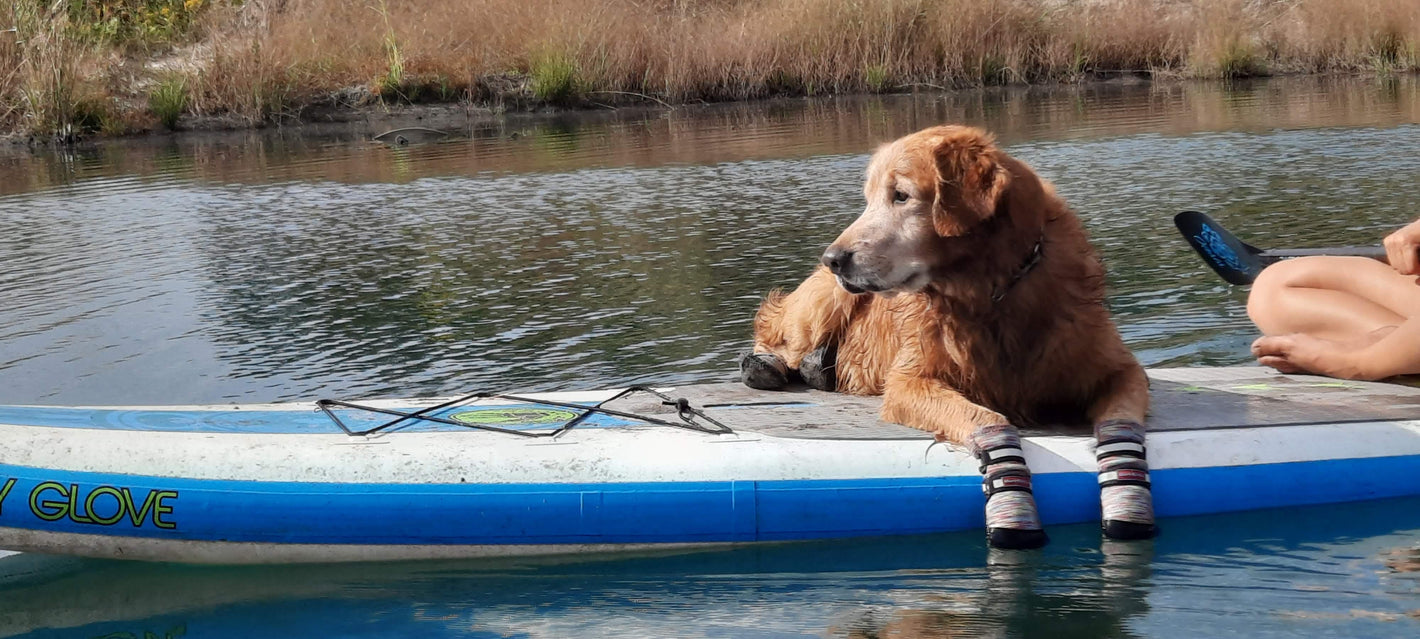 Bark Brite Lightweight Neoprene Dog Boots